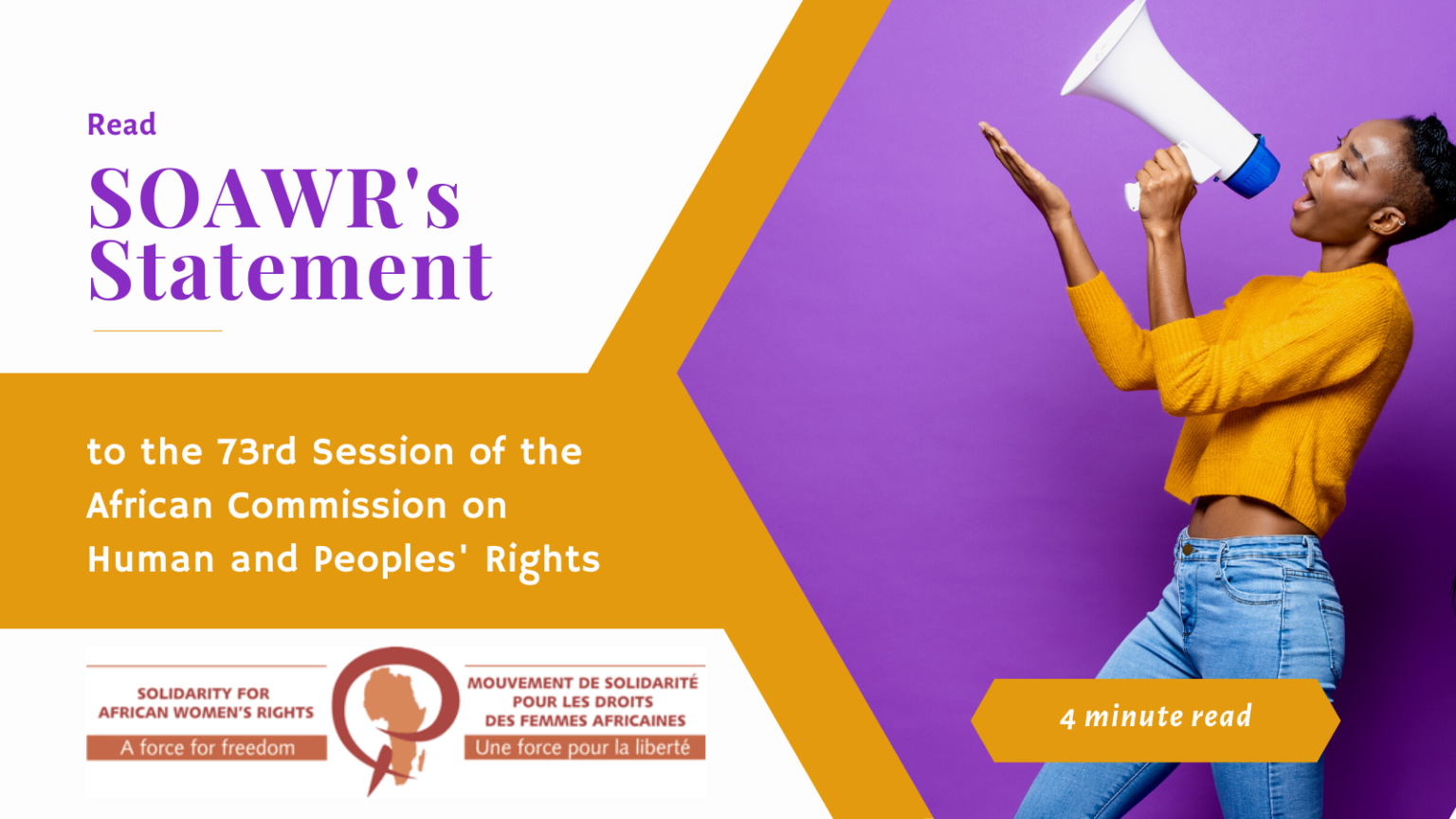 SOAWR Statement to the 73rd Ordinary Session of the African Commission ...